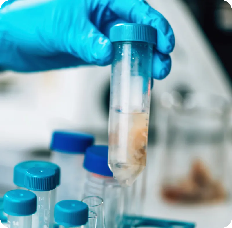 Water Testing Services - Teton Environmental