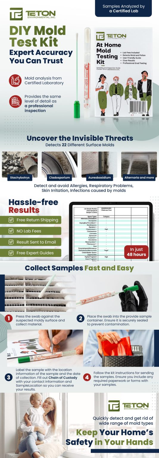 Home Mold Test Kit: Fast Results for 20+ Types – Made in USA - Teton ...