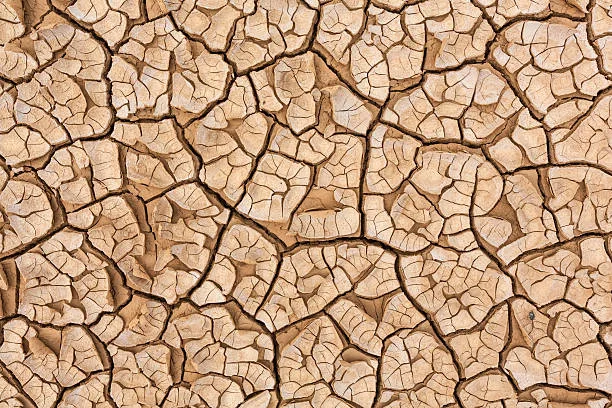 8 Best Erosion Control Methods to Protect Land & Water