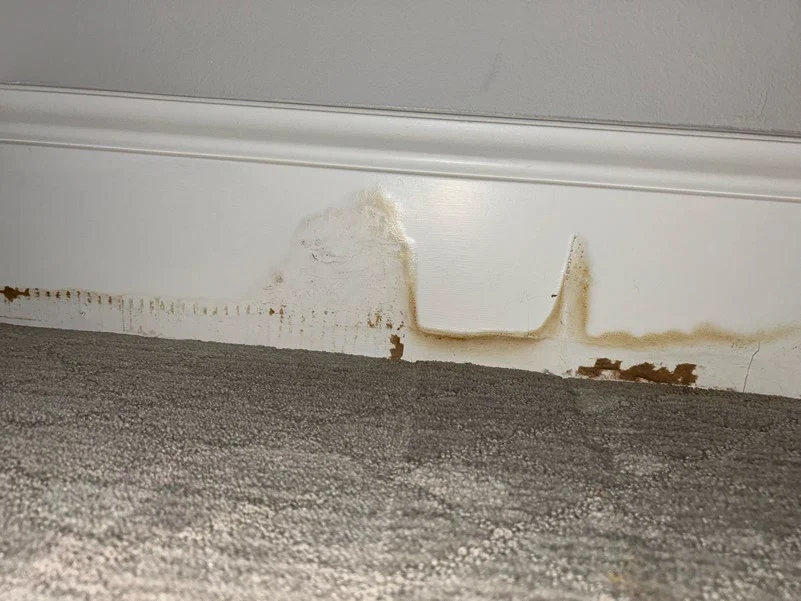 Signs of Mold Behind Drywall: 7 Hidden Clues You Must Know - Teton ...