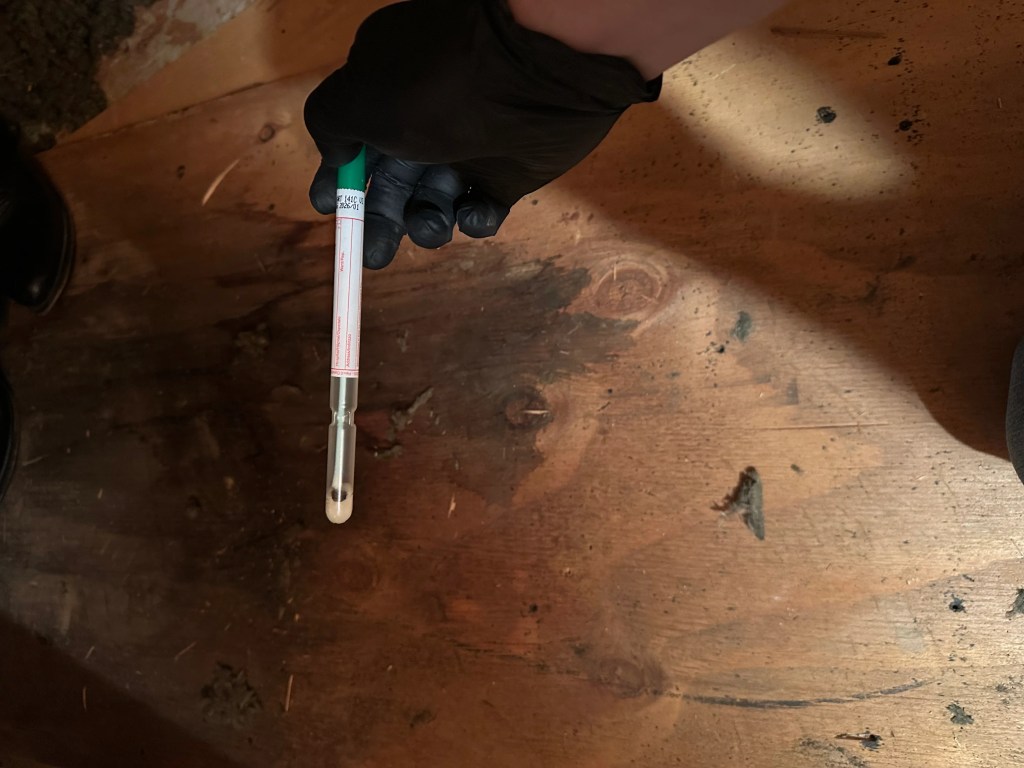 DIY Mold Test Kit VS Mold Test Petri Dish: 5 Key Differences